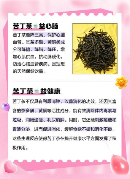 苦丁茶一次泡几根_苦丁茶用量多少合适-第2张图片-山城妙识