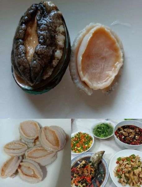 鲍鱼怎么去壳_鲍鱼内脏清理方法-第1张图片-山城妙识