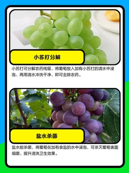 葡萄怎么洗干净_葡萄清洗的正确方法-第2张图片-山城妙识