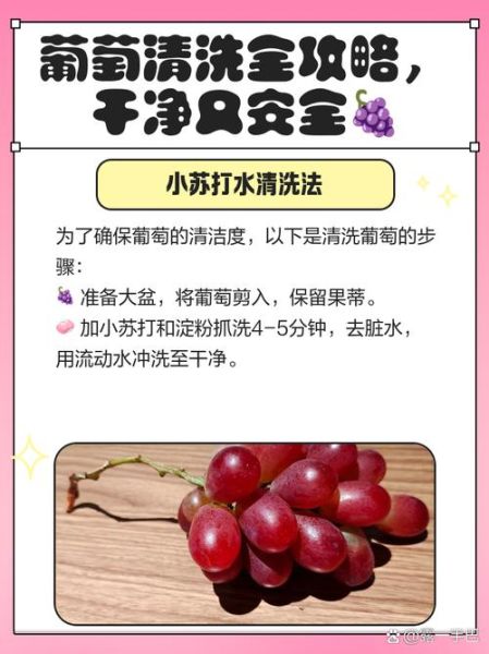 葡萄怎么洗干净_葡萄清洗的正确方法-第1张图片-山城妙识