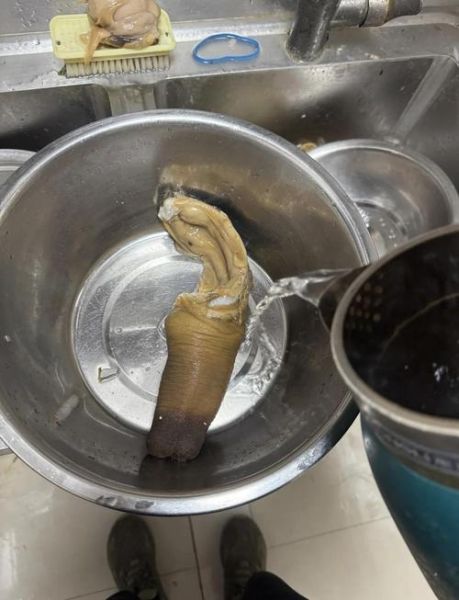 小象拔蚌怎么做_小象拔蚌清蒸还是爆炒-第1张图片-山城妙识 小象拔蚌怎么做_小象拔蚌清蒸还是爆炒-第1张图片-山城妙识