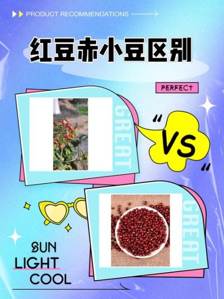 红豆种类图片大全_如何分辨赤小豆与红芸豆-第2张图片-山城妙识 红豆种类图片大全_如何分辨赤小豆与红芸豆-第2张图片-山城妙识