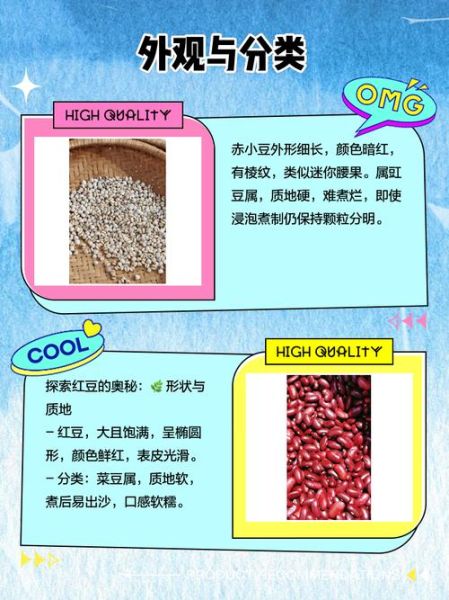 红豆种类图片大全_如何分辨赤小豆与红芸豆-第3张图片-山城妙识 红豆种类图片大全_如何分辨赤小豆与红芸豆-第3张图片-山城妙识