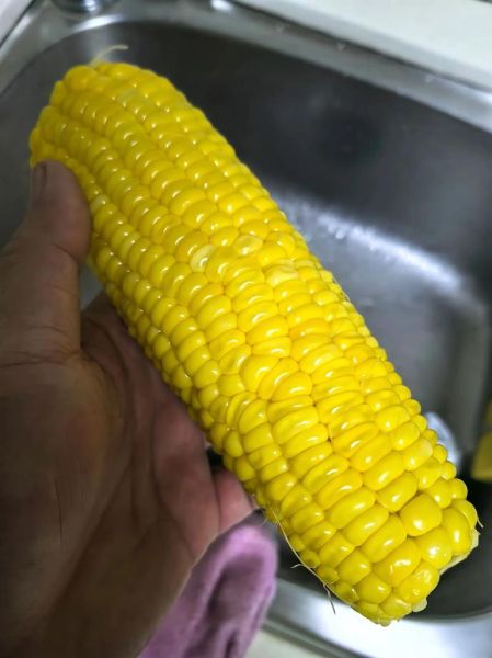 老玉米工作室怎么样_老玉米工作室靠谱吗-第3张图片-山城妙识 老玉米工作室怎么样_老玉米工作室靠谱吗-第3张图片-山城妙识