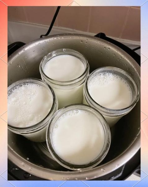 家庭酸奶怎么做_自制酸奶需要准备什么-第3张图片-山城妙识