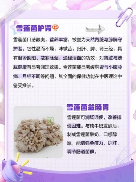 雪莲菌图片真假辨别_雪莲菌功效与作用-第1张图片-山城妙识