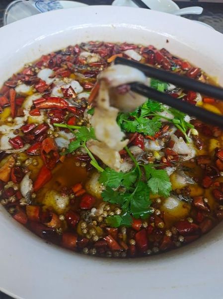 川菜沸腾鱼怎么做_沸腾鱼片嫩滑秘诀-第2张图片-山城妙识 川菜沸腾鱼怎么做_沸腾鱼片嫩滑秘诀-第2张图片-山城妙识