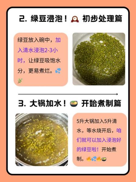 绿豆发芽了还能煮绿豆汤吗_发芽绿豆汤安全吗-第1张图片-山城妙识