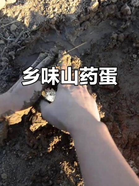 山药蛋派属于哪一类流派_山药蛋派写作特点-第2张图片-山城妙识 山药蛋派属于哪一类流派_山药蛋派写作特点-第2张图片-山城妙识