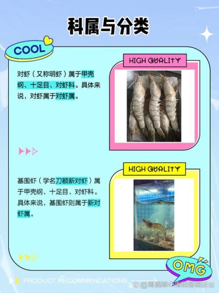 基围虾和对虾的区别_哪个更好吃-第1张图片-山城妙识 基围虾和对虾的区别_哪个更好吃-第1张图片-山城妙识