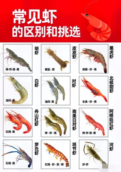 基围虾和对虾的区别_哪个更好吃-第2张图片-山城妙识 基围虾和对虾的区别_哪个更好吃-第2张图片-山城妙识
