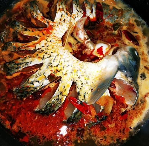 家常炖草鱼块怎么做_草鱼块炖多久才入味-第1张图片-山城妙识 家常炖草鱼块怎么做_草鱼块炖多久才入味-第1张图片-山城妙识