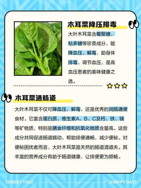 木耳菜图片功效与作用_孕妇能吃吗-第1张图片-山城妙识