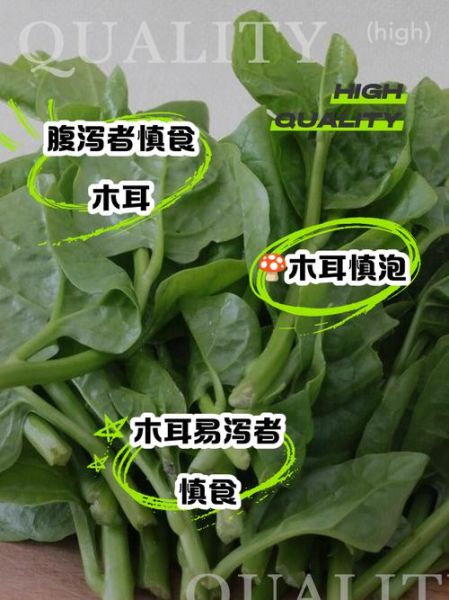 木耳菜图片功效与作用_孕妇能吃吗-第3张图片-山城妙识