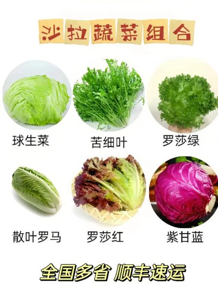 蔬菜沙拉的做法_蔬菜沙拉需要哪些材料-第1张图片-山城妙识