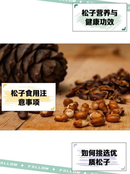 儿童吃松子有什么好处_松子对儿童的功效与作用-第1张图片-山城妙识