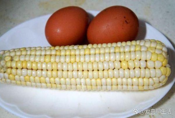 新鲜玉米煮多长时间最好_甜玉米煮多久才熟-第3张图片-山城妙识 新鲜玉米煮多长时间最好_甜玉米煮多久才熟-第3张图片-山城妙识