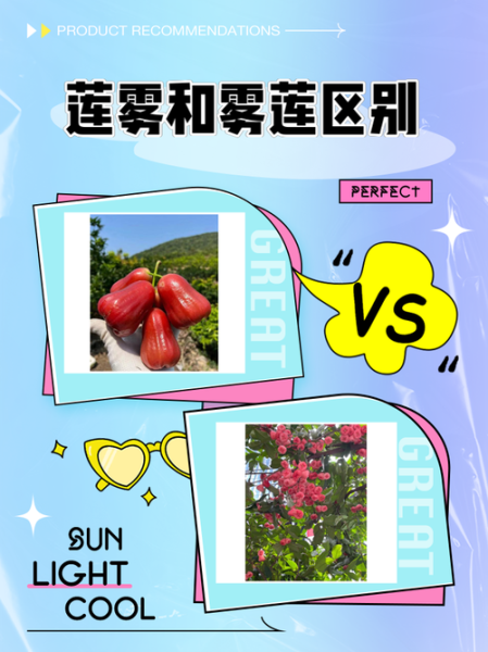 释迦果和莲雾为什么是夫妻果_释迦莲雾搭配功效-第1张图片-山城妙识 释迦果和莲雾为什么是夫妻果_释迦莲雾搭配功效-第1张图片-山城妙识