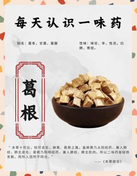 葛根的副作用有哪些_葛根长期吃会伤肝肾吗-第2张图片-山城妙识 葛根的副作用有哪些_葛根长期吃会伤肝肾吗-第2张图片-山城妙识