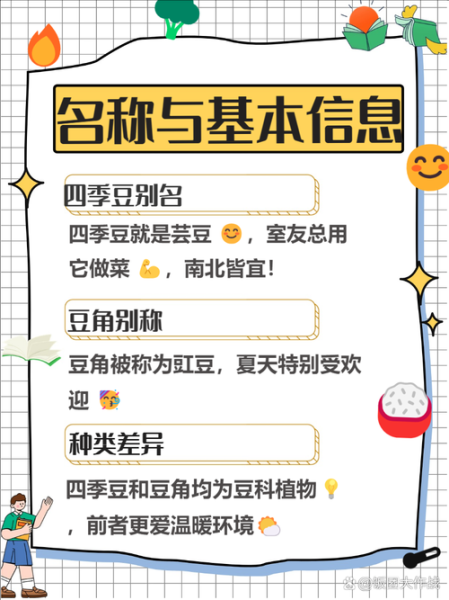 豆类蔬菜有哪些品种_四季豆和豇豆区别-第1张图片-山城妙识