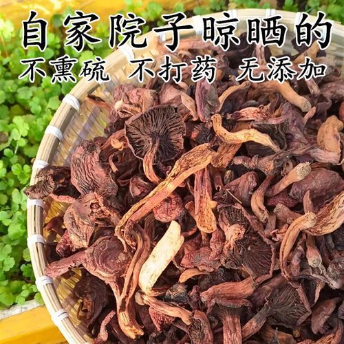 红蘑菇为什么叫鸡血蘑菇_红蘑菇和鸡血蘑菇区别-第2张图片-山城妙识 红蘑菇为什么叫鸡血蘑菇_红蘑菇和鸡血蘑菇区别-第2张图片-山城妙识