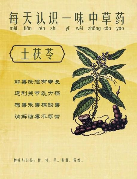 土茯苓的功效与作用_土茯苓能治痛风吗-第1张图片-山城妙识