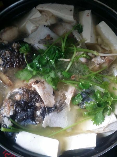 豆腐鱼头汤的做法大全_鱼头汤怎么做好吃又白又浓-第2张图片-山城妙识 豆腐鱼头汤的做法大全_鱼头汤怎么做好吃又白又浓-第2张图片-山城妙识