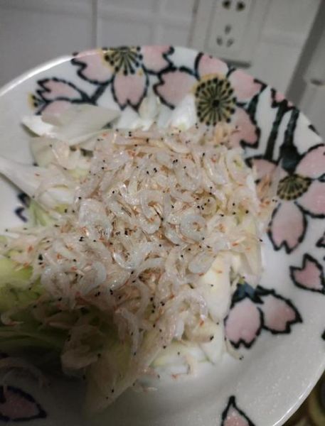 新鲜小活虾米怎么保存_新鲜小活虾米怎么做好吃-第3张图片-山城妙识