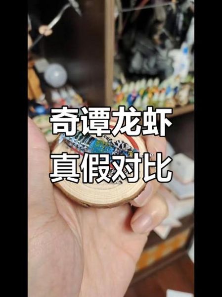 大龙虾图片_如何辨别真假-第2张图片-山城妙识 大龙虾图片_如何辨别真假-第2张图片-山城妙识