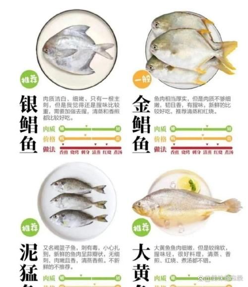 海鱼怎么做不腥_海鱼去腥最简单的方法-第2张图片-山城妙识 海鱼怎么做不腥_海鱼去腥最简单的方法-第2张图片-山城妙识