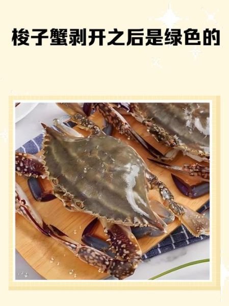 梭子蟹怎么剥_梭子蟹剥法步骤图-第1张图片-山城妙识
