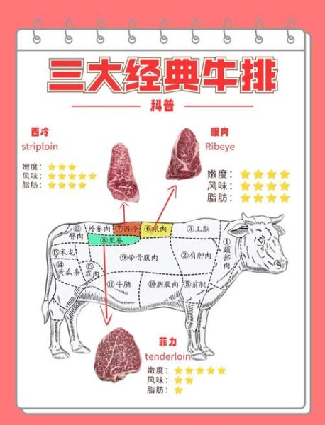 菲力牛排是牛的哪个部位_菲力牛排为什么嫩-第1张图片-山城妙识