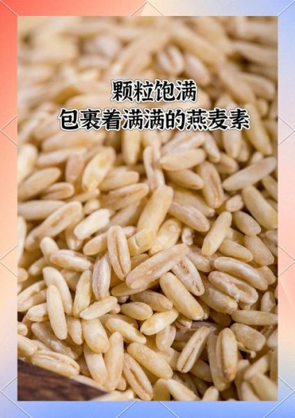 燕麦米和燕麦片有什么区别_哪个更适合减肥-第2张图片-山城妙识 燕麦米和燕麦片有什么区别_哪个更适合减肥-第2张图片-山城妙识