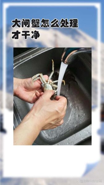 螃蟹怎么清洗干净_前爪子毛怎么办-第2张图片-山城妙识 螃蟹怎么清洗干净_前爪子毛怎么办-第2张图片-山城妙识