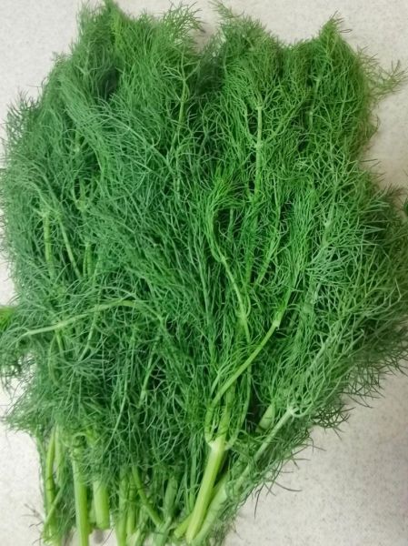 茴香馅饺子怎么做_茴香饺子馅怎么调才香-第3张图片-山城妙识 茴香馅饺子怎么做_茴香饺子馅怎么调才香-第3张图片-山城妙识