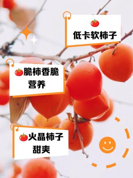 减肥吃柿子会胖吗_柿子热量高吗-第1张图片-山城妙识 减肥吃柿子会胖吗_柿子热量高吗-第1张图片-山城妙识