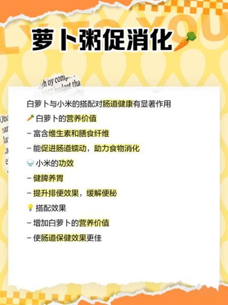 白萝卜粥的禁忌_什么人不能吃-第1张图片-山城妙识