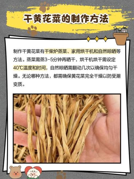 干黄花菜用热水还是冷水泡_泡发技巧全解析-第1张图片-山城妙识 干黄花菜用热水还是冷水泡_泡发技巧全解析-第1张图片-山城妙识