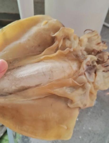 干墨鱼怎么做好吃又简单_干墨鱼泡发多久才软-第1张图片-山城妙识