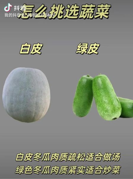 白冬瓜怎么挑选_白冬瓜怎么吃最好-第1张图片-山城妙识 白冬瓜怎么挑选_白冬瓜怎么吃最好-第1张图片-山城妙识