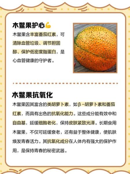 木鳖果的功效与作用怎么吃_木鳖果的正确吃法-第3张图片-山城妙识 木鳖果的功效与作用怎么吃_木鳖果的正确吃法-第3张图片-山城妙识