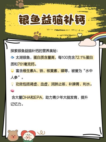 四大淡水名鱼有哪些_如何挑选正宗太湖银鱼-第1张图片-山城妙识