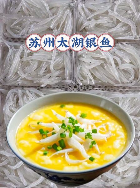 四大淡水名鱼有哪些_如何挑选正宗太湖银鱼-第2张图片-山城妙识