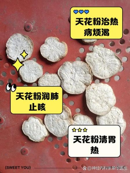 天花粉的功效与作用有哪些_天花粉图片怎么辨别真假-第1张图片-山城妙识 天花粉的功效与作用有哪些_天花粉图片怎么辨别真假-第1张图片-山城妙识