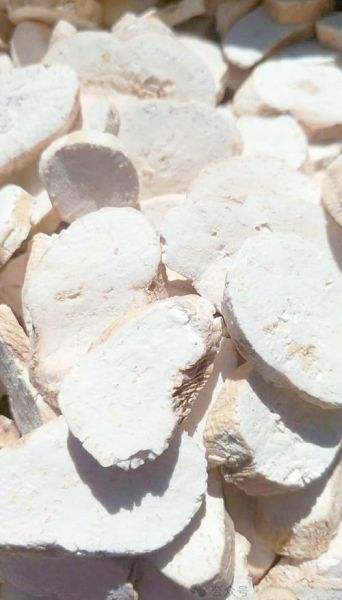 天花粉的功效与作用有哪些_天花粉图片怎么辨别真假-第2张图片-山城妙识 天花粉的功效与作用有哪些_天花粉图片怎么辨别真假-第2张图片-山城妙识