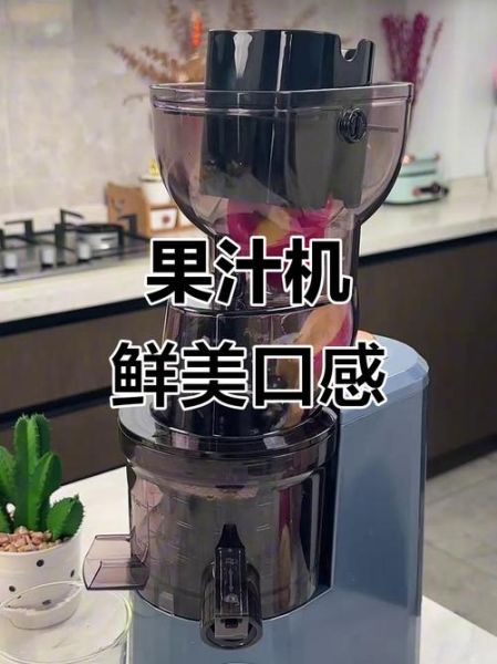 水果榨汁机怎么使用_水果榨汁机第一次用要注意什么-第3张图片-山城妙识 水果榨汁机怎么使用_水果榨汁机第一次用要注意什么-第3张图片-山城妙识