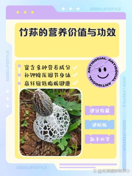 竹荪不适宜人群有哪些_竹荪哪些人不能吃-第1张图片-山城妙识 竹荪不适宜人群有哪些_竹荪哪些人不能吃-第1张图片-山城妙识