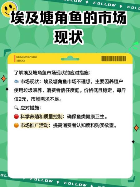 塘鲺鱼多少钱一斤_塘鲺鱼价格行情-第3张图片-山城妙识 塘鲺鱼多少钱一斤_塘鲺鱼价格行情-第3张图片-山城妙识