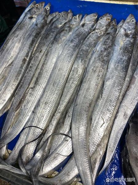 带鱼多少钱一斤_带鱼价格为什么波动大-第1张图片-山城妙识