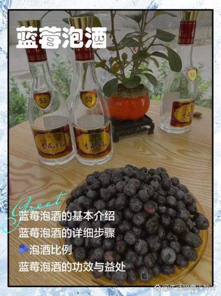 蓝莓泡酒的功效与禁忌_蓝莓泡酒可以天天喝吗-第1张图片-山城妙识 蓝莓泡酒的功效与禁忌_蓝莓泡酒可以天天喝吗-第1张图片-山城妙识